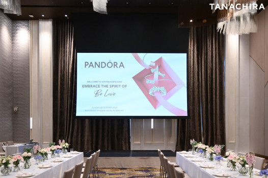 Pandora delivers an exceptional experience at the VIP Preview Event ...